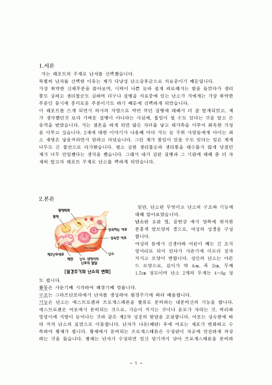 (병리학) 나의 취약한 장기(난소, 다낭성 난소 증후군)