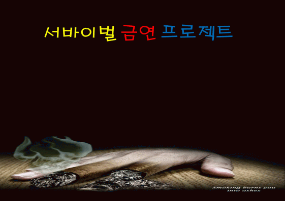 서바이벌 금연 프로젝트 ppt