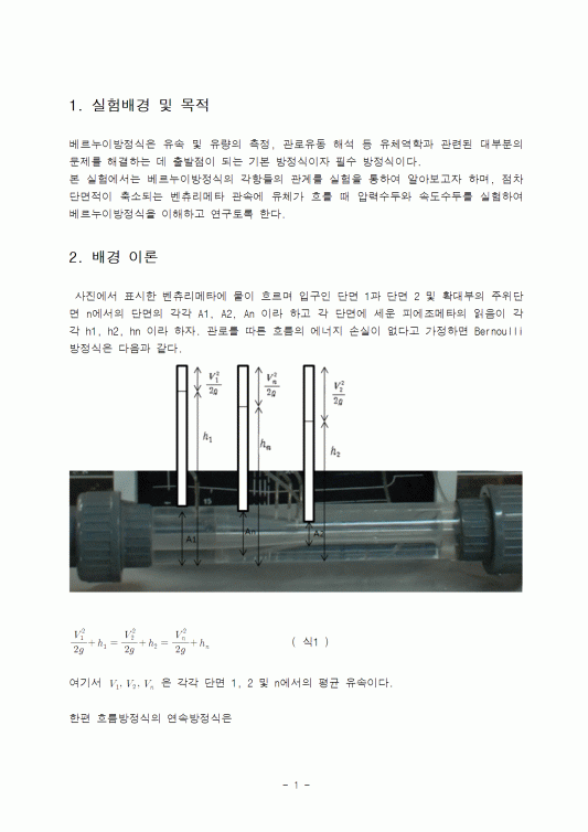 수리실험보고서(베르누이)
