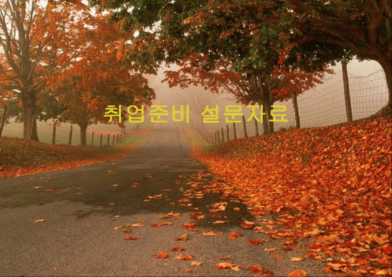 취업준비 설문자료