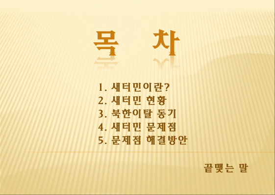 새터민의 소개 문제점 및 해결방안