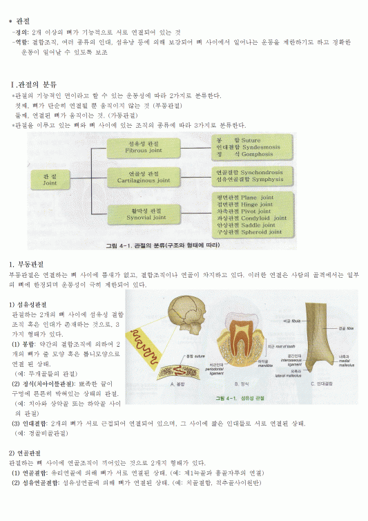인체 관절계 레포트 자료