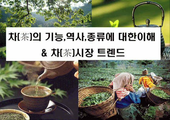 차(茶)의 기능,역사,종류에 대한이해 & 차(茶)시장 트렌드