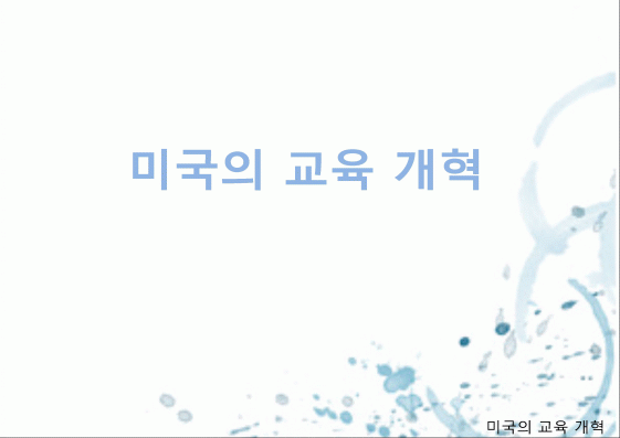 [선진국의 교육] 미국의 교육개혁의 흐름과 차터스쿨 분석, 차터스쿨의 장단점, 시사점 및 향후 전망