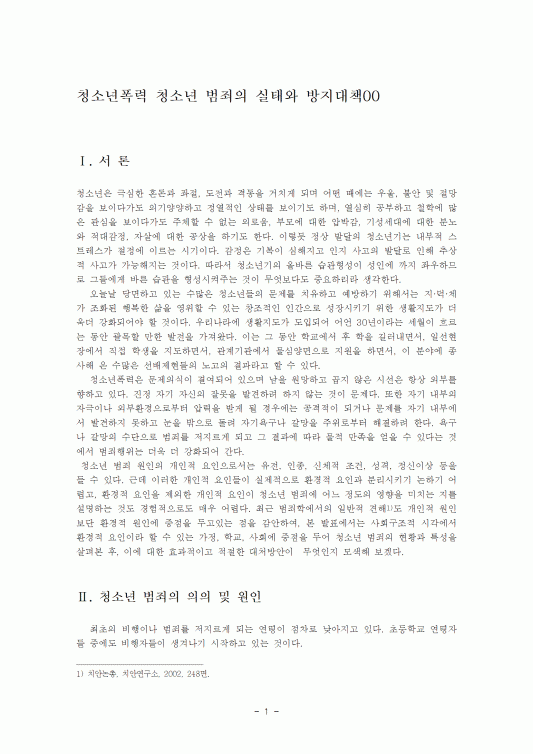 청소년폭력 청소년 범죄의 실태와 방지대책00