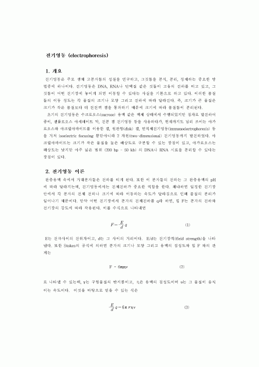 전기영동 (electrophoresis)