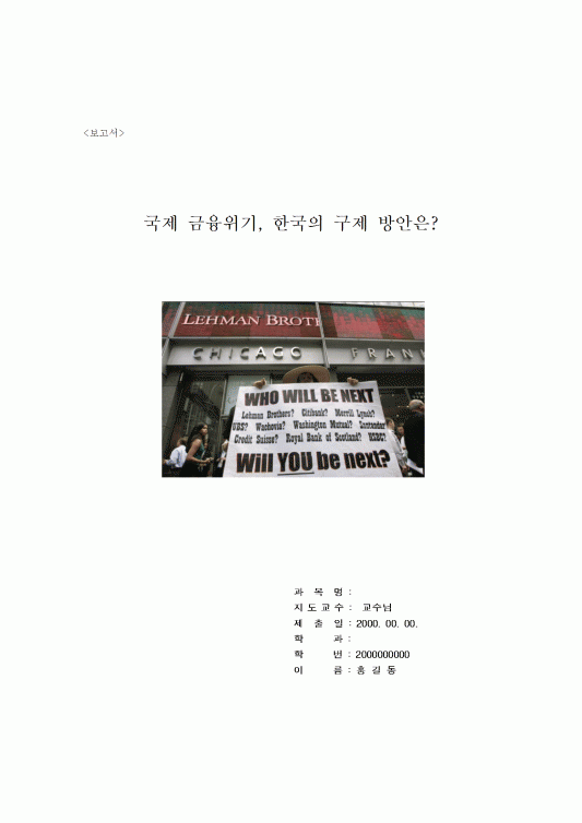 국제 금융위기, 한국의 구제 방안은