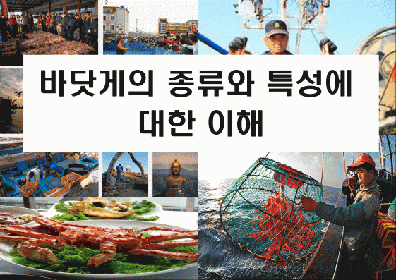 바닷게의 종류와 특성에 대한 이해