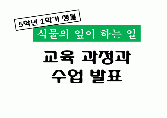 교육과정수업발표 식물의잎이 하는일