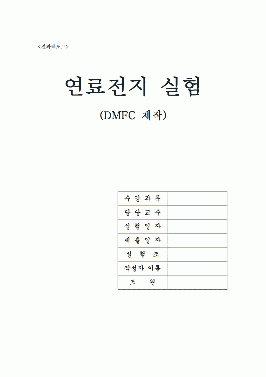 [공학/컴퓨터/통신] 메탄올연료전지실험