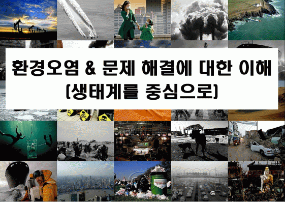 환경오염 & 문제 해결에 대한 이해(생태계를 중심으로)