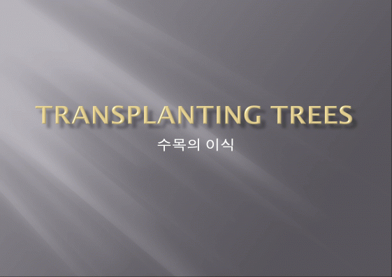 수목의 이식 레포트 자료