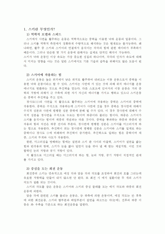 스키의 이래 레포트 자료