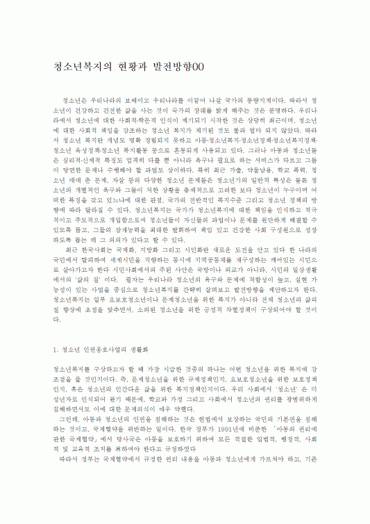 청소년복지의 현황과 발전방향00