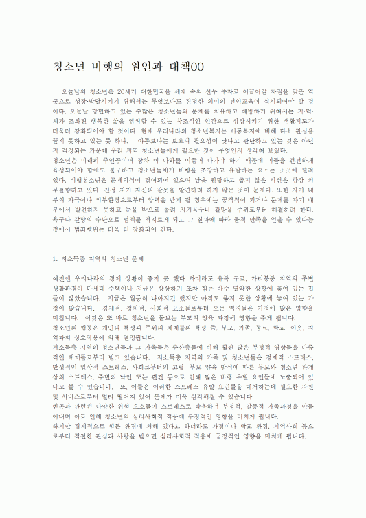 청소년 비행의 원인과 대책00