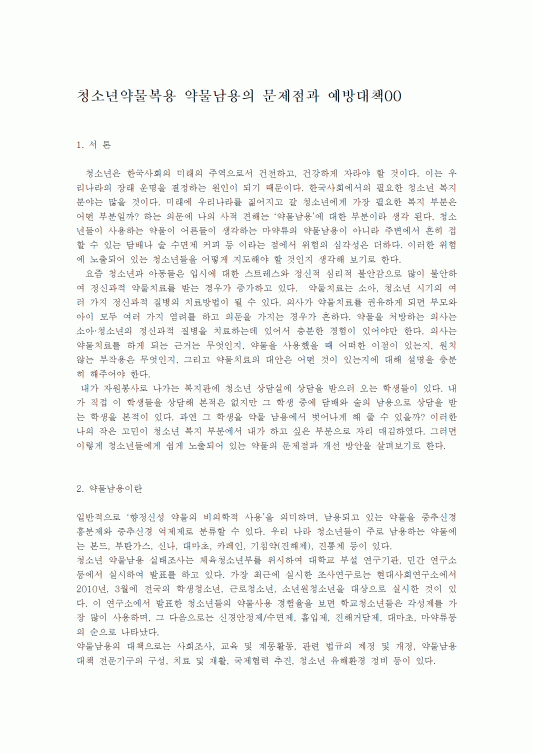 청소년약물복용 약물남용의 문제점과 예방대책00