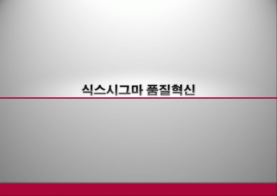 식스시그마 및 성공사례