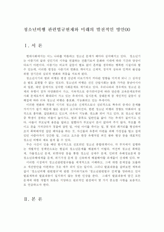 청소년비행 관련법규현재와 미래의 발전적인 방안00