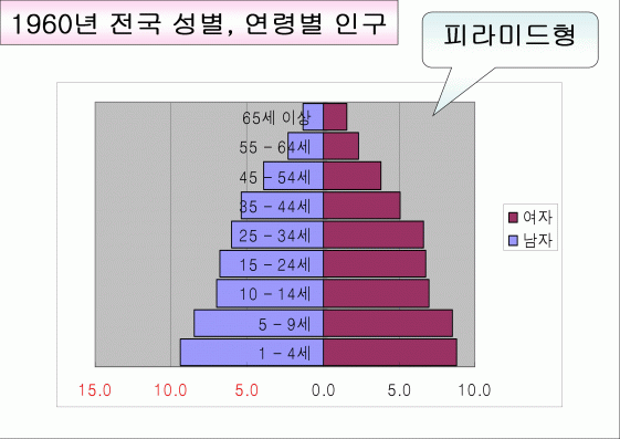 인구 피라미드 유형PPT