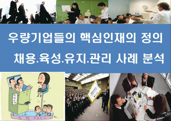 우량기업들의 핵심인재 정의.채용.육성.유지.관리 사례 분석