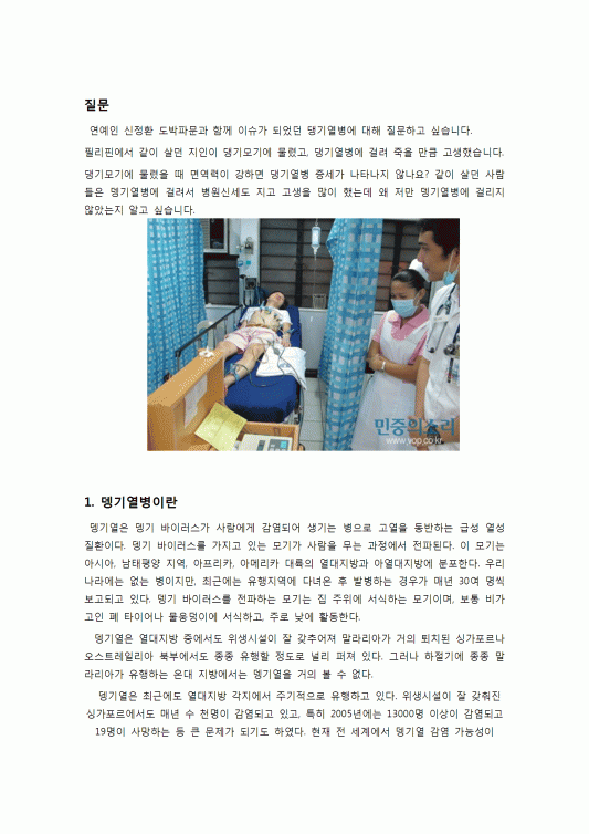 뎅기열병의 증상과 진단 및 치룡와 예방