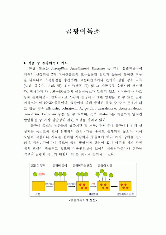 곰팡이독소 레포트 자료