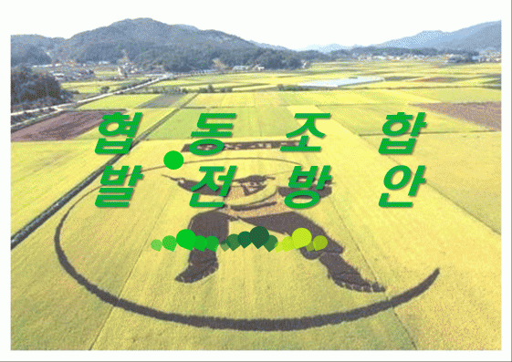 농협 및 협동조합발전방안