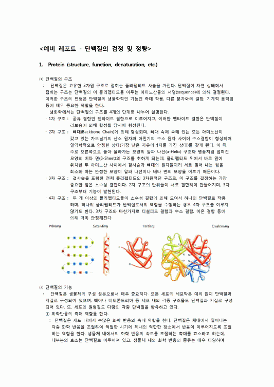 10. 단백질의 검정 및 정량_예비