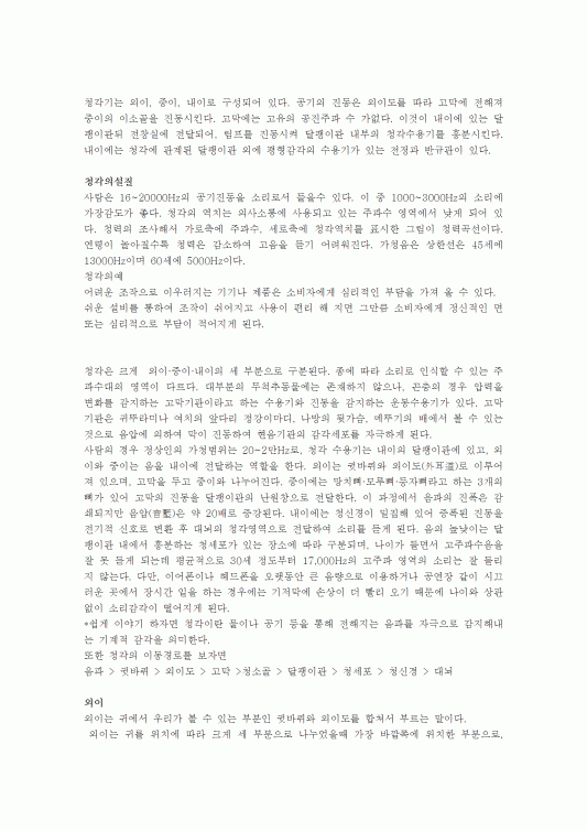 청각에 대한 이해
