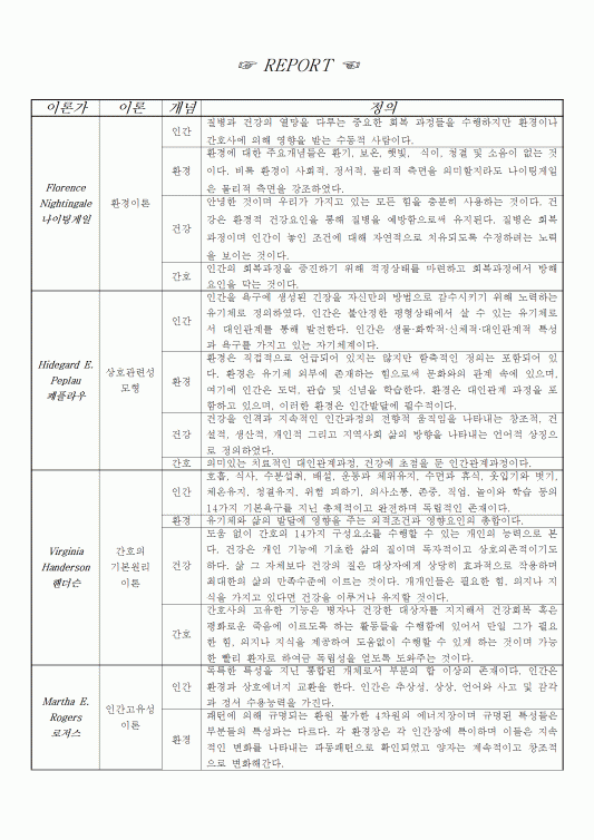 간호이론가의 메타패러다임, 나의 메타패러다임