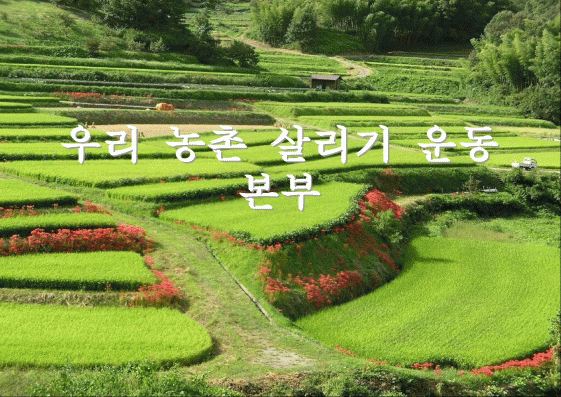 우리 농촌 살리기 운동본부