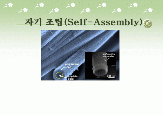 자기조립a 레포트 자료