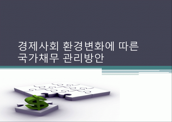 경제사회 환경변화에 따른 국가채무 관리방안