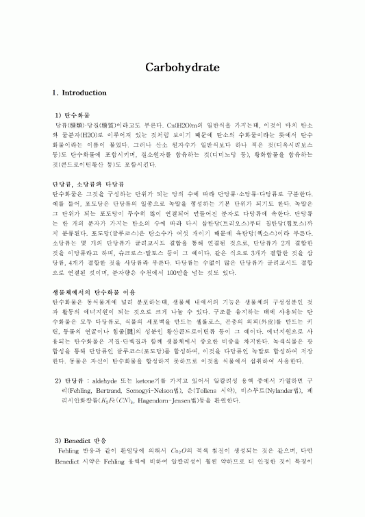 carbohydrate 레포트 자료