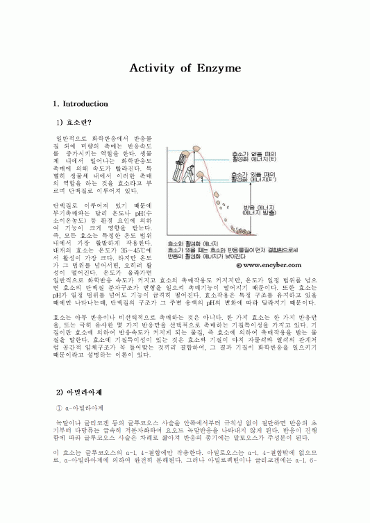 효소의 활성 측정