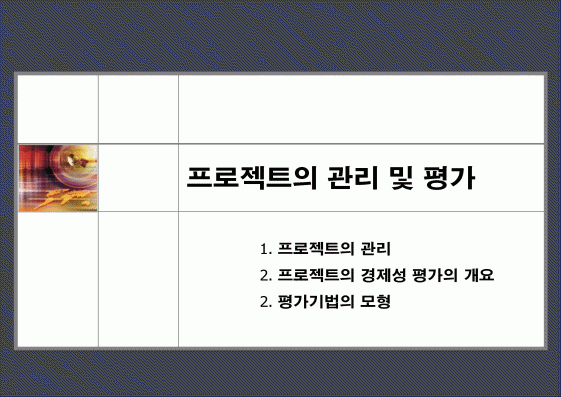 프로젝트 관리 및 평가모형