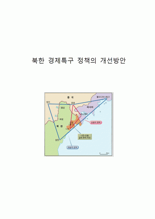 북한 경제특구 정책의 개선방안에 대한 연구