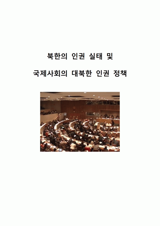 북한의 인권 실태 및 국제사회의 대북한 인권 정책