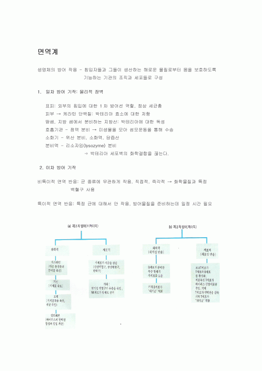 [간호학]면역계
