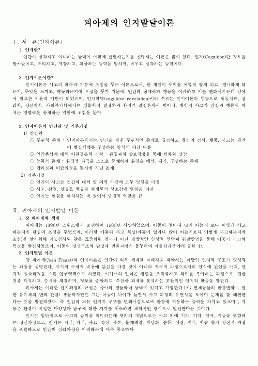 피아제의_인지발달이론