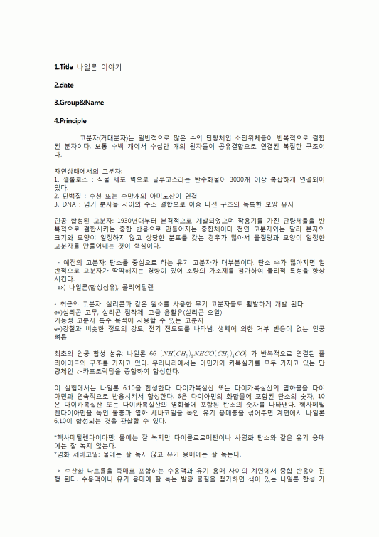 나일론 이야기(예비)