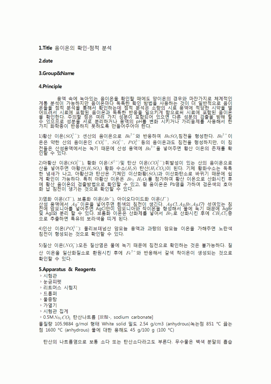 음이온의 확인-점적분석(예비)