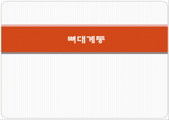 뼈대계통 총론