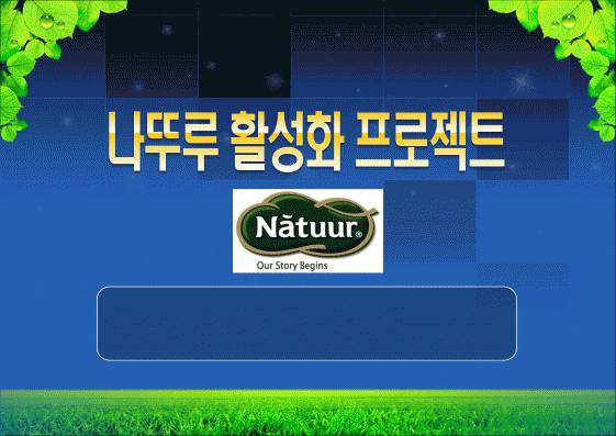 마케팅 후발주자 전략(나뚜루 아이스크림)