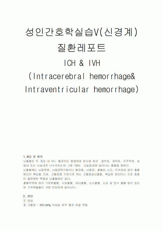 뇌출혈질병 레포트 자료