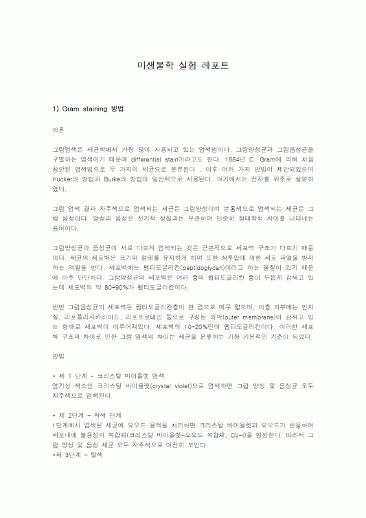 미생물학 실험 레포트- 그람염색시험