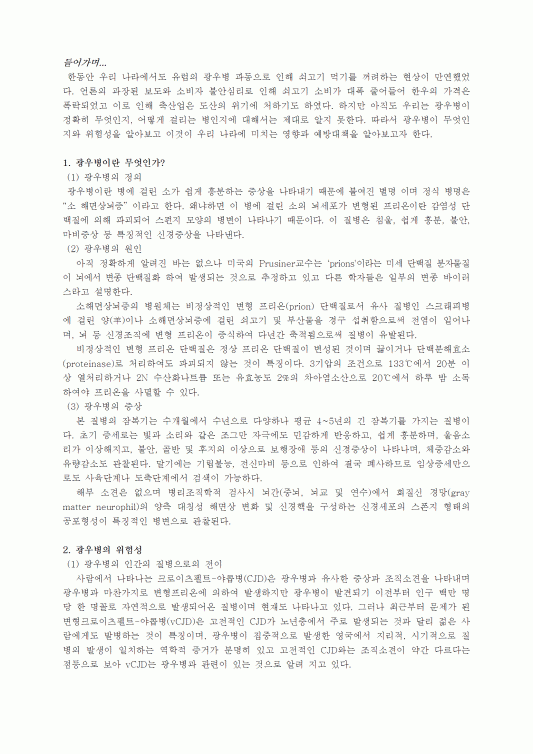 광우병의 위험성 우리나라에 미치는 영향과 현 상황 및 각국의 대처방안 우리나라 예방책