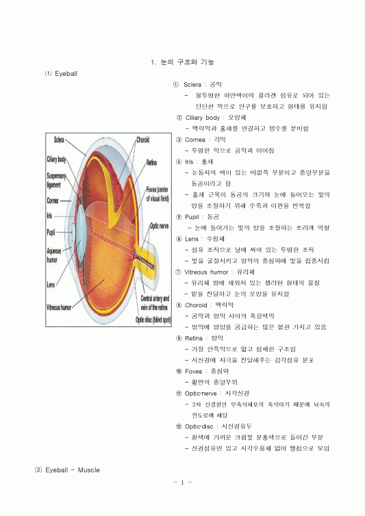 안과_실습지침서