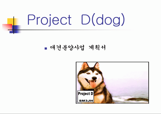 애견분양사업계획서