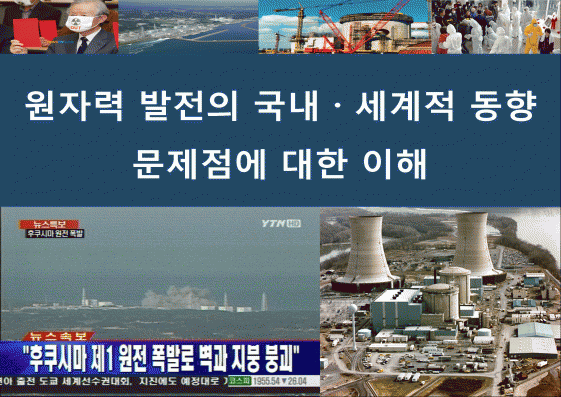원자력발전의 국내 세계적 동향 문제점에 대한 이해